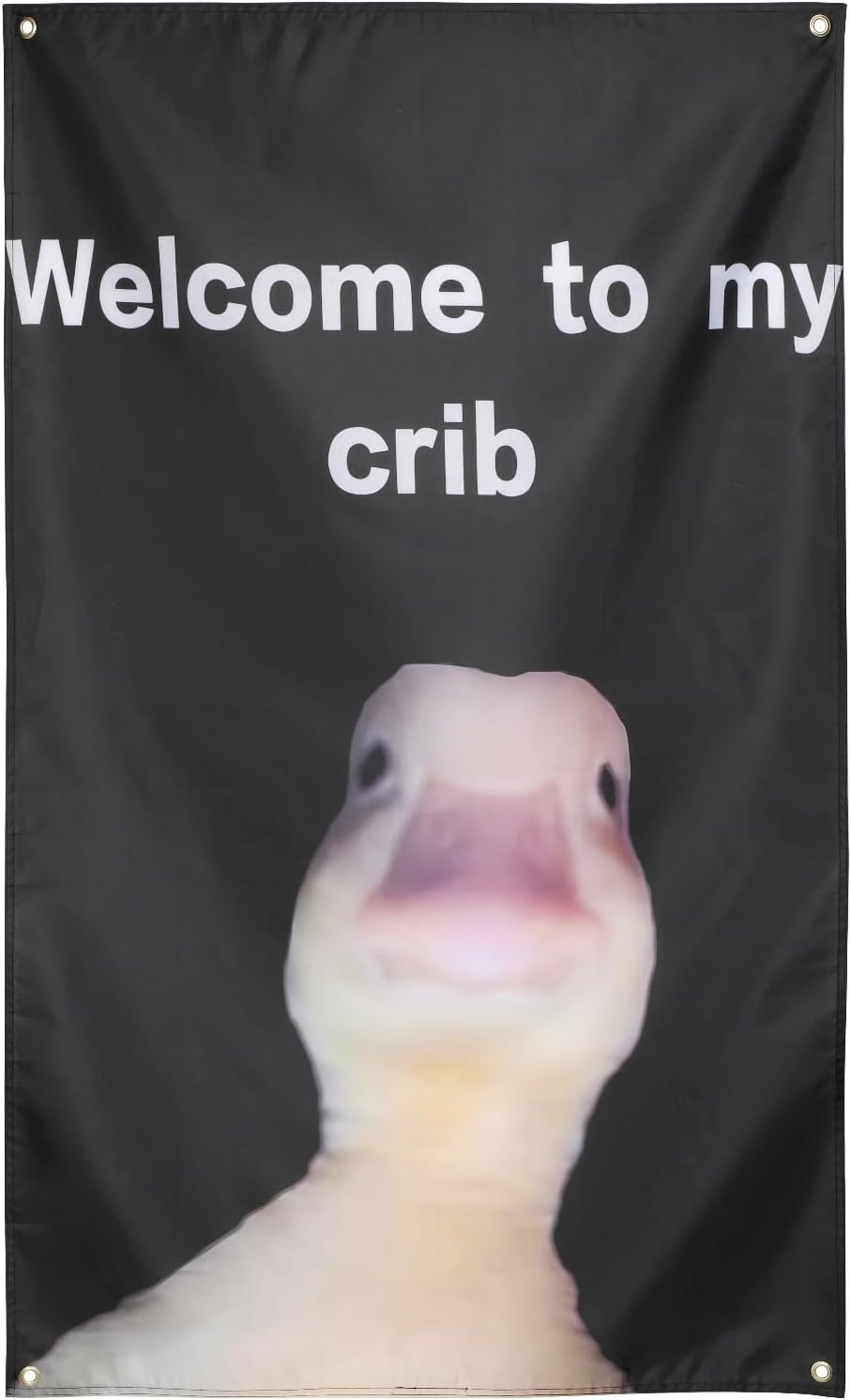 Amazon.com : 3 x 5 FT Welcome to My Crib Flag - Funny Welcome Home ...