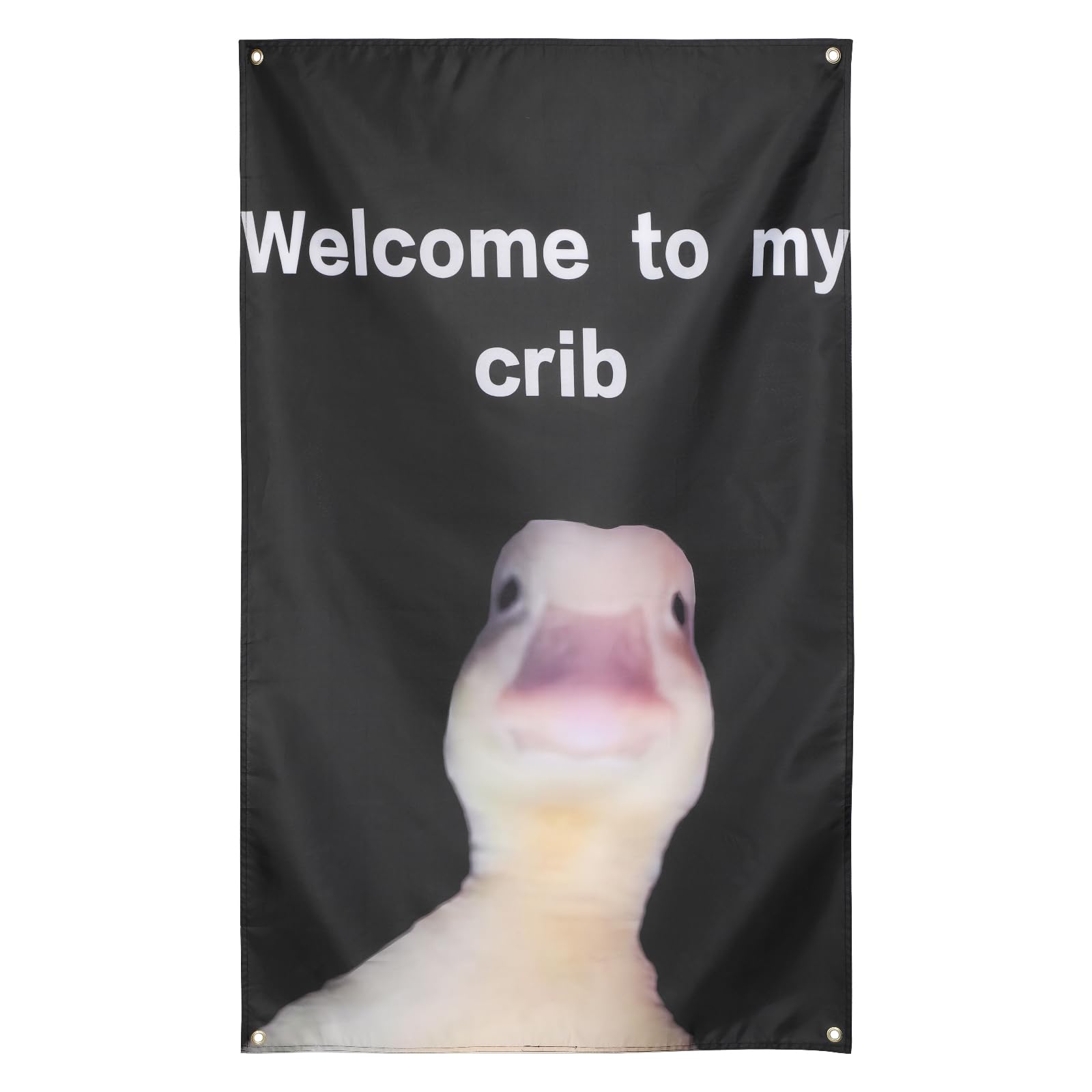 Amazon.com : Welcome To My Crib Flag 3x5Ft Funny Novelty Welcome To My ...