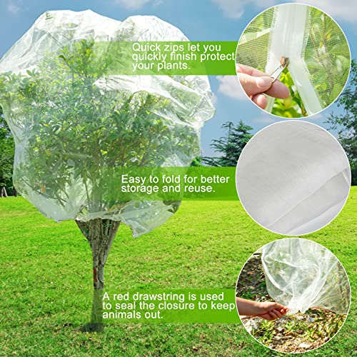 Large Fruit Orchard Netting, 6.56 x 6.56 FT Plant Netting with Zipper ...