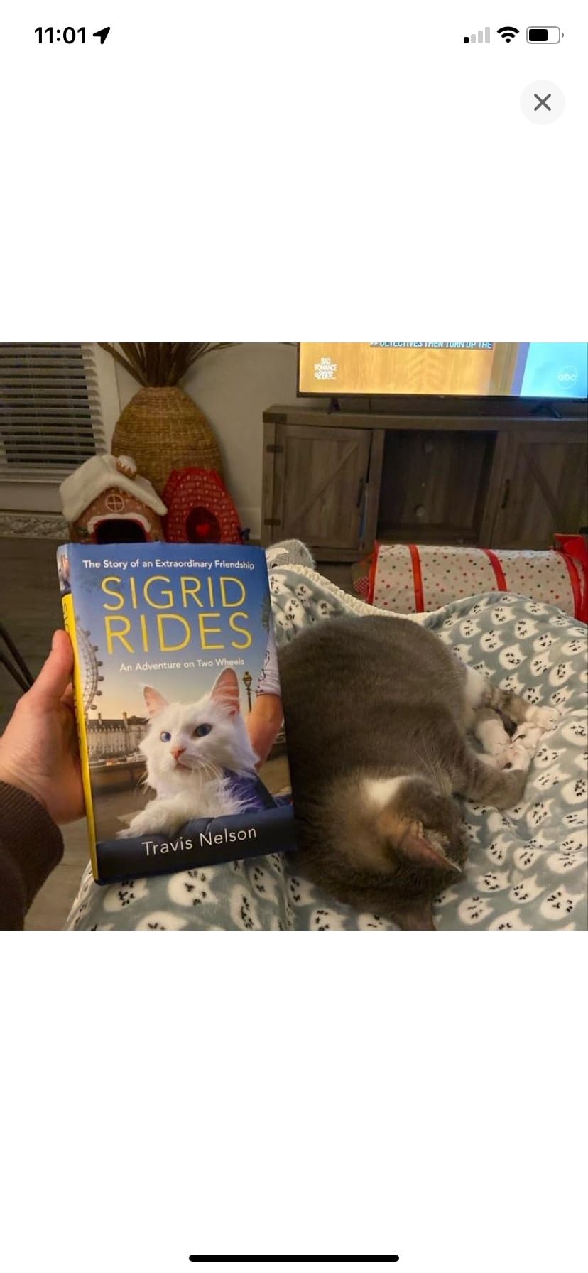 Sigrid Rides: The Story of an Extraordinary Friendship and An Adventure ...