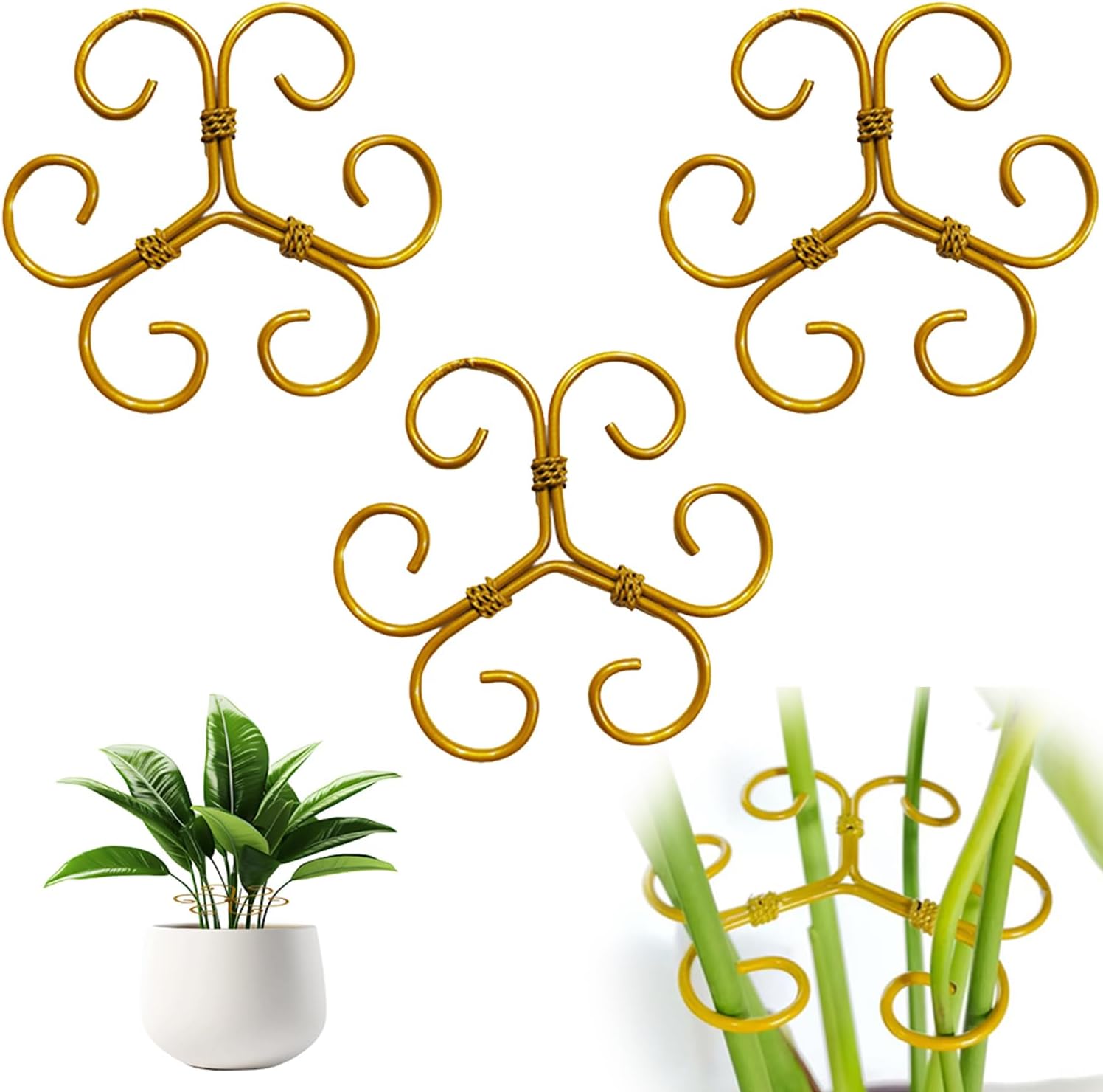 Amazon.com : Plant Stabilizer for Indoor Plants, Plant Stem Support ...