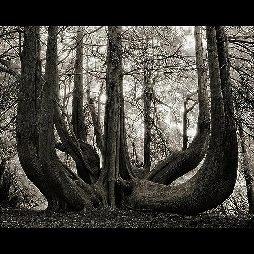 Play My Fusion Heart by Daniel Natter on Amazon Music