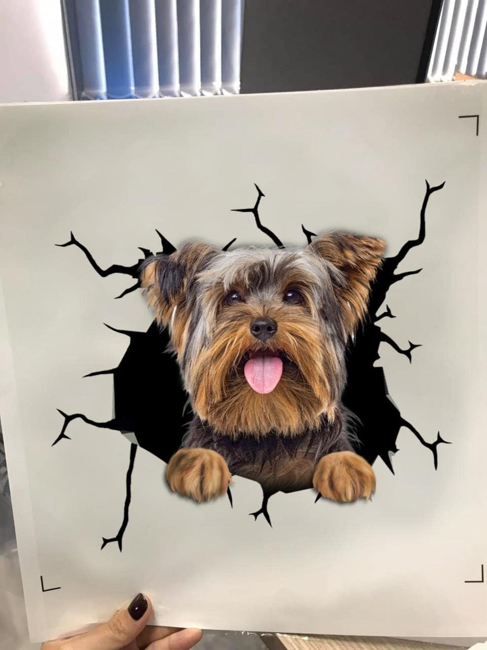 Buy Yorkies Stickers Male Yorkie Decal Vinyl Car Decal for Mens Warning ...