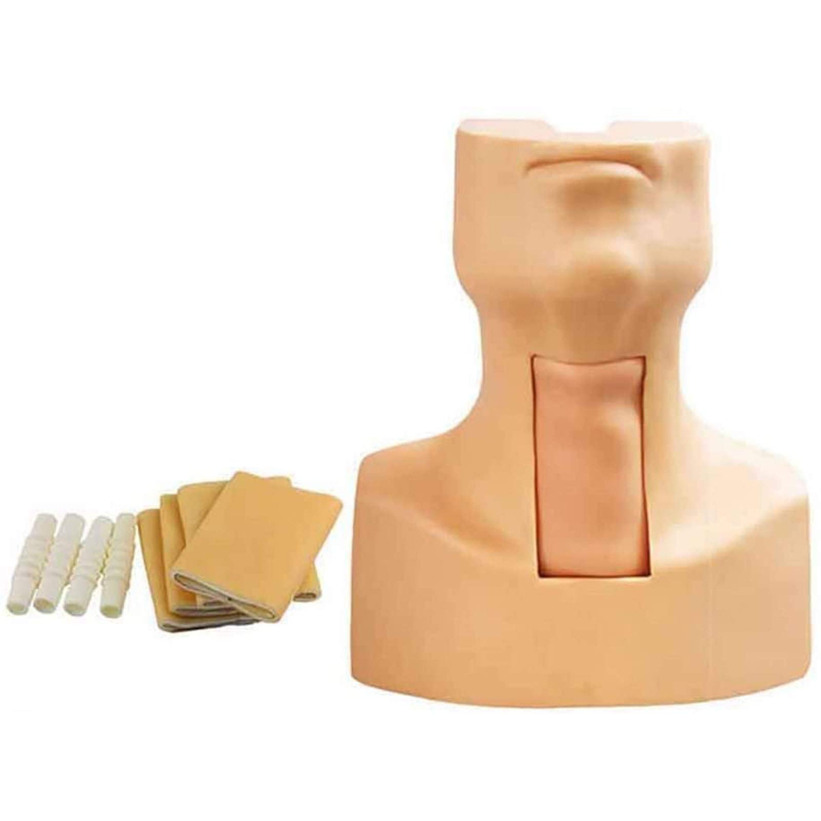 Buy Tracheostomy and Intubation Training Model, Intubation Manikin ...
