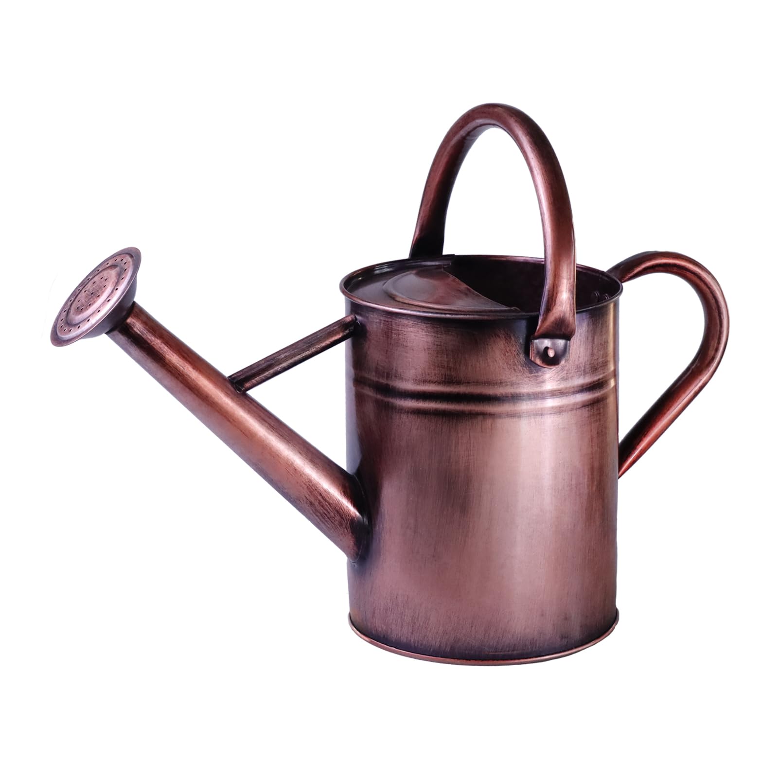Amazon.com : Lechloris Metal Watering Can for Outdoor Plants, 1 Gallon ...