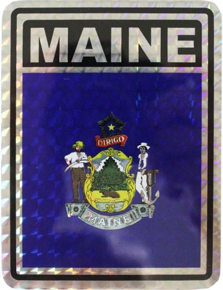 Amazon.com - AES Wholesale Lot 12 State of Maine Flag Reflective Decal ...