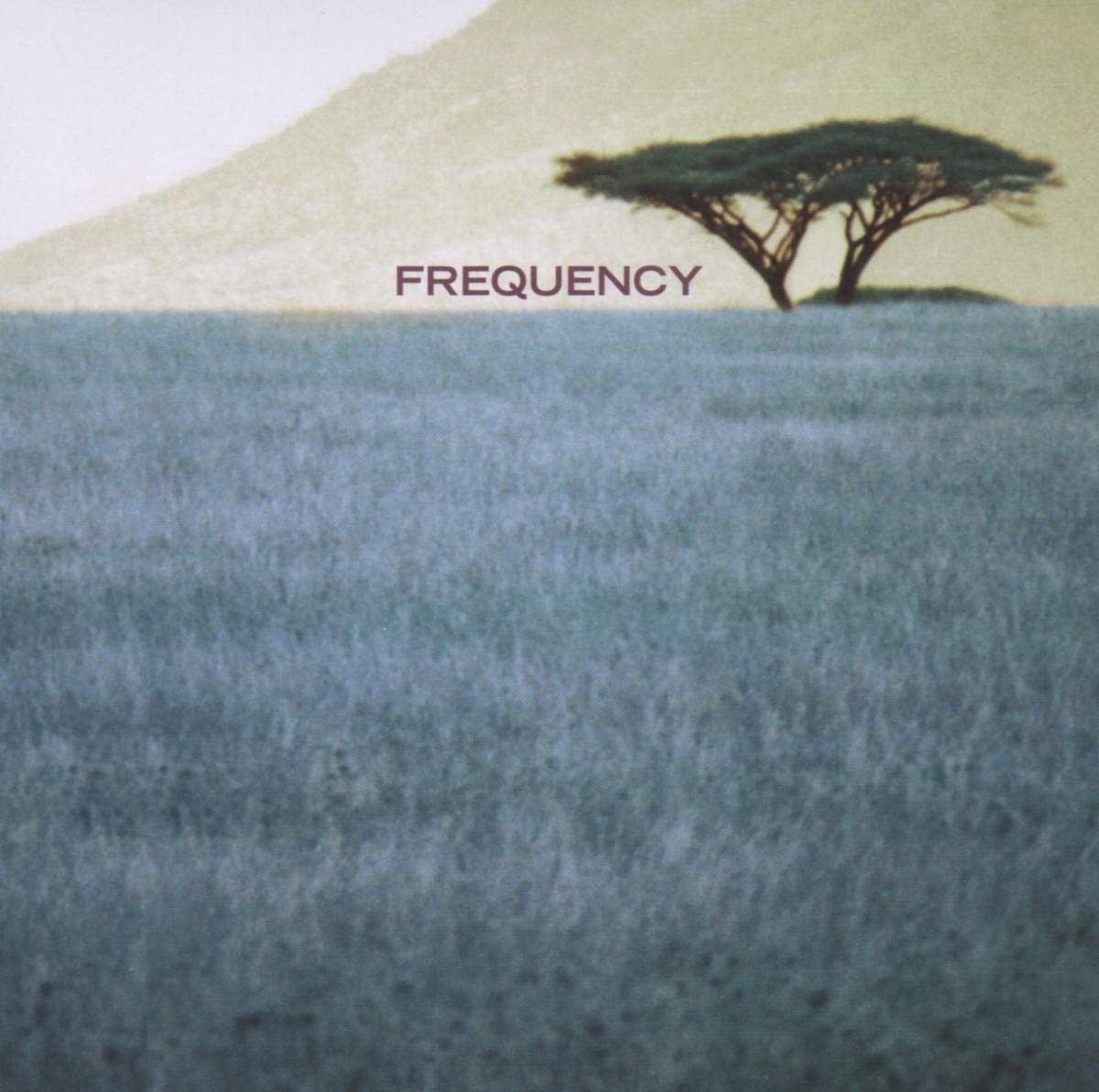 Frequency : The Frequency, Frequency, Frequency, Avreeayl Ra, Edward ...