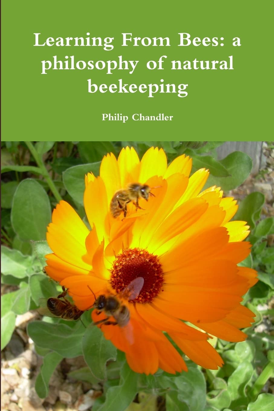 Learning From Bees: A Philosophy Of Natural Beekeeping: Amazon.co.uk ...