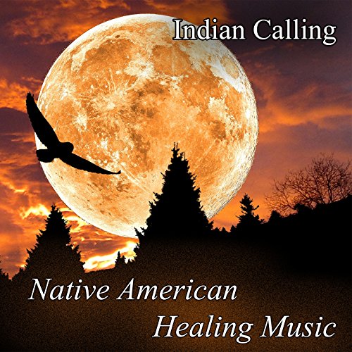 Amazon.com: Native American Healing Music : Indian Calling: Digital Music