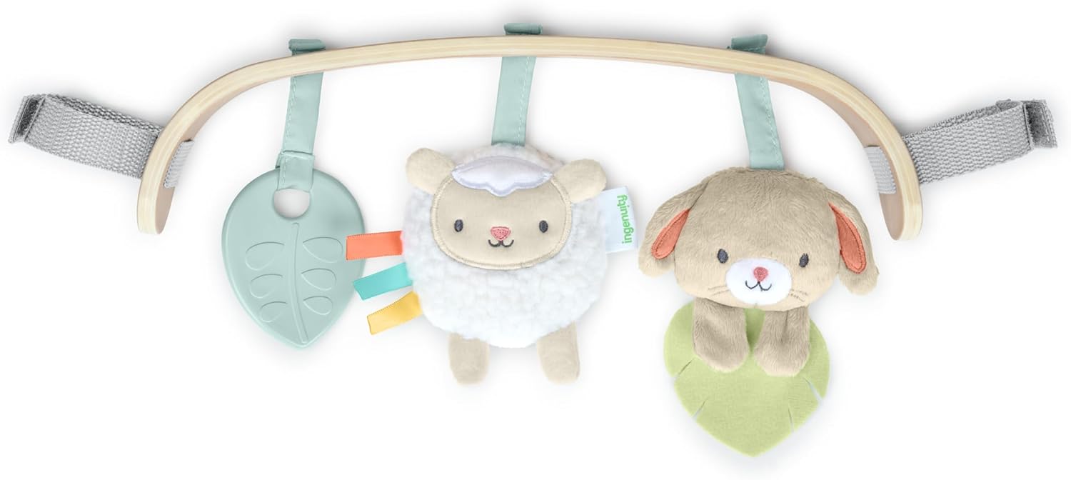 Amazon.com : Ingenuity Soothing Essentials Wood Carrier Toy Bar ...