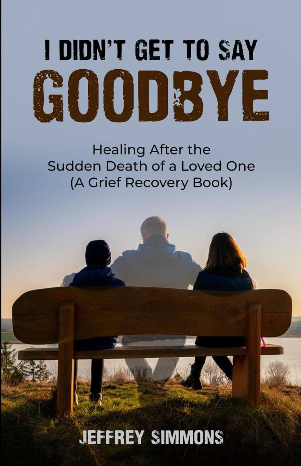 I Didn't Get To Say Goodbye: HEALING AFTER THE SUDDEN DEATH OF A LOVED ...