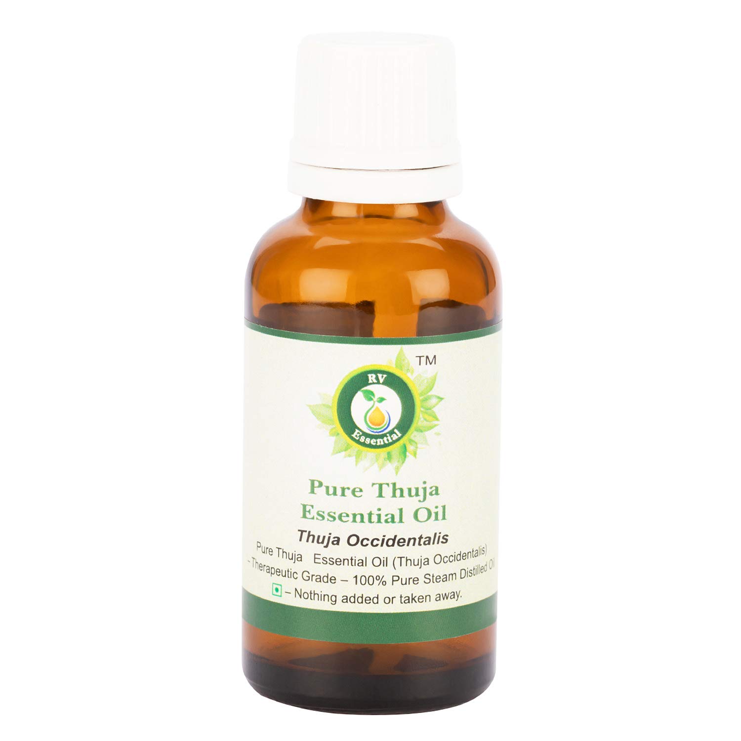 Buy R V Essential Pure Thuja Essential Oil 15ml- Thuja Occidentalis ...