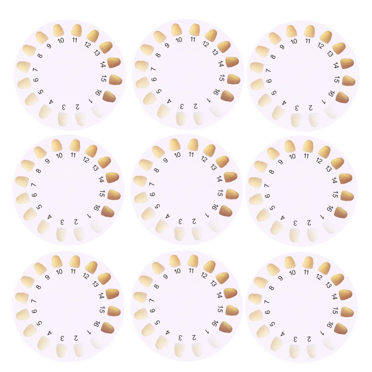 Amazon.com: Milisten 20pcs Teeth Color Comparing Charts Round Shape ...