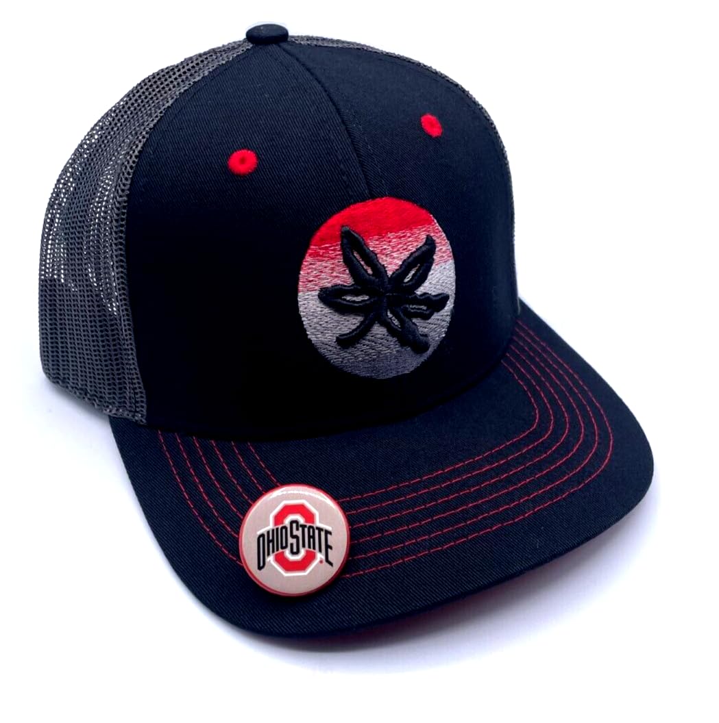 Amazon.com: Ohio State Hat Classic Embroidered Leaf Team Logo ...