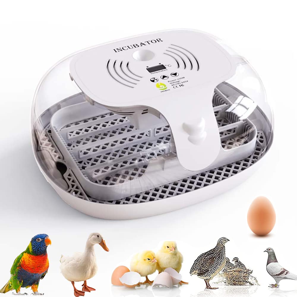 16 Egg Incubator with Temperature Control,Egg Candler,Automatic Egg Turner,for Hatching Chickens ...