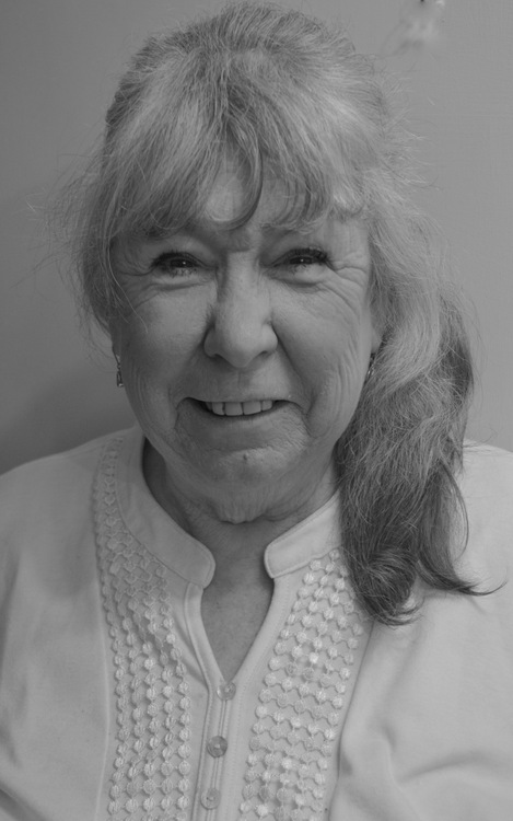 Amazon.co.uk: Susan Hanson: books, biography, latest update