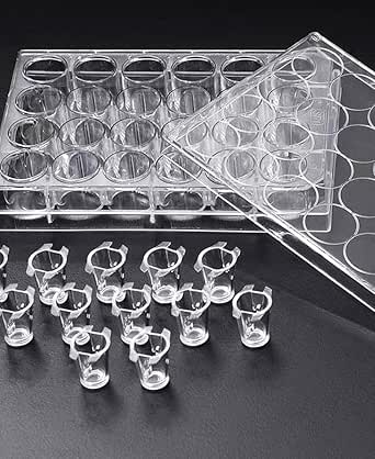 Insert™ Hanging for 3D Cell Culture, 6 Inserts/6 Well Plate, PC, 3μm ...