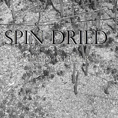 Play Spin Dried by Larry Whitler on Amazon Music