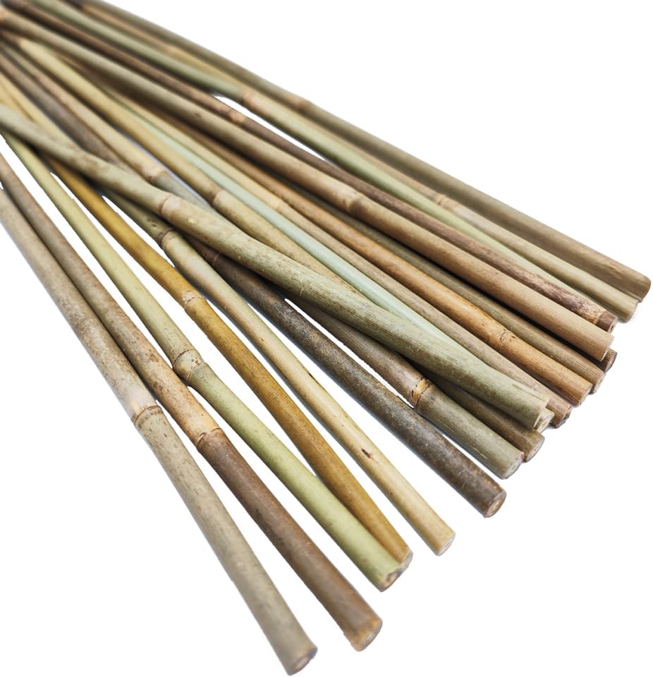 Amazon.com : INature 20 Pieces 18 inch Natural Bamboo Plant Stakes ...