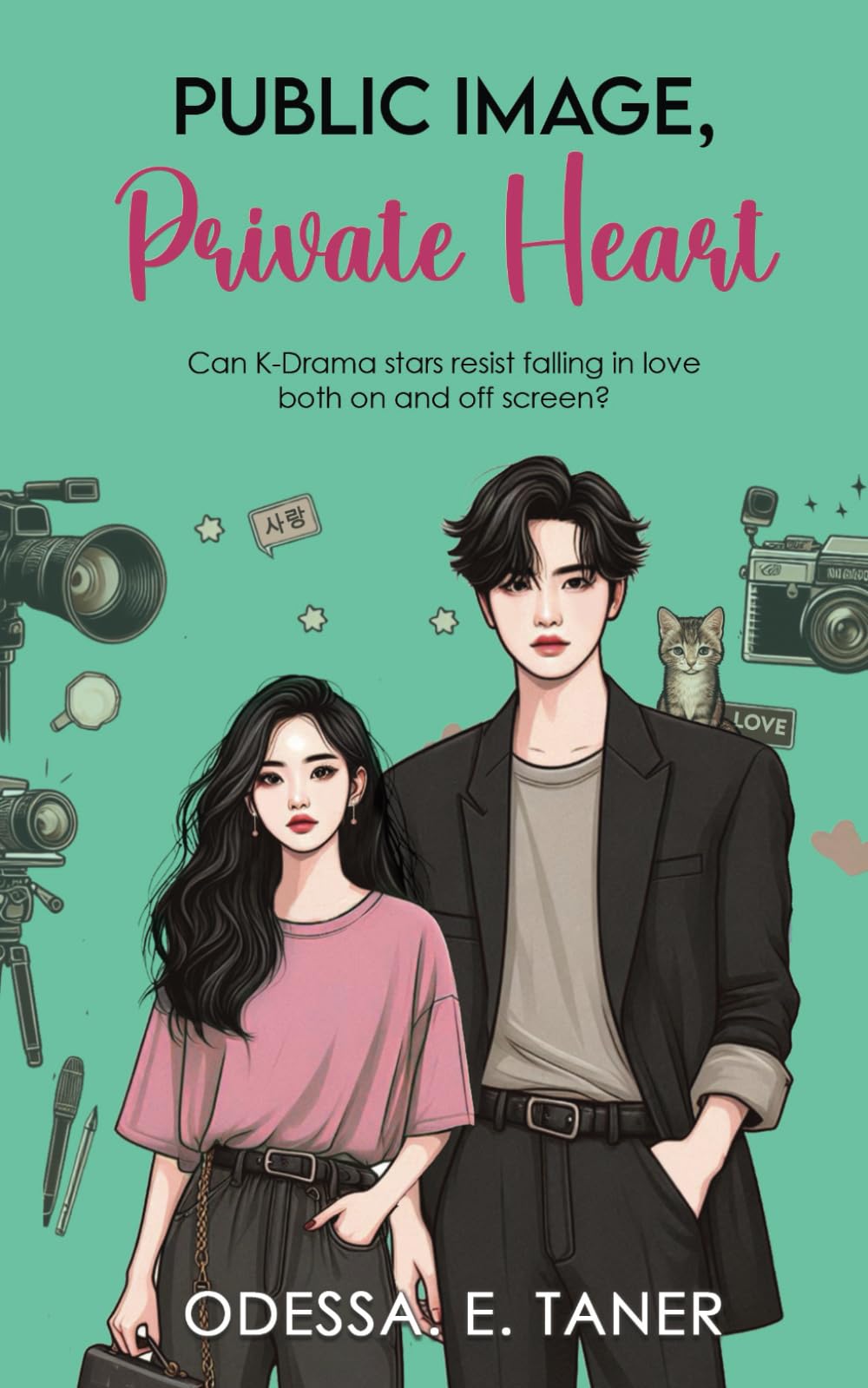 Amazon.com: Public Image, Private Heart: A Slow burn K-Drama Romance ...