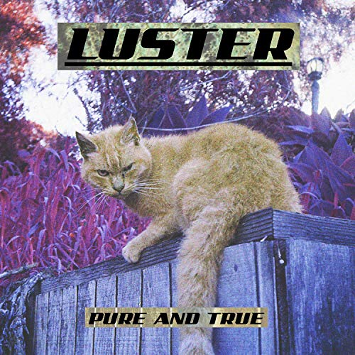 Play Pure and True by Luster on Amazon Music Unlimited