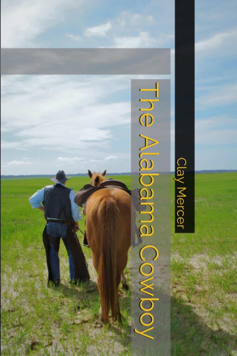 Amazon.com: The Alabama Cowboy: 9798838880208: Mercer, Clay: Books