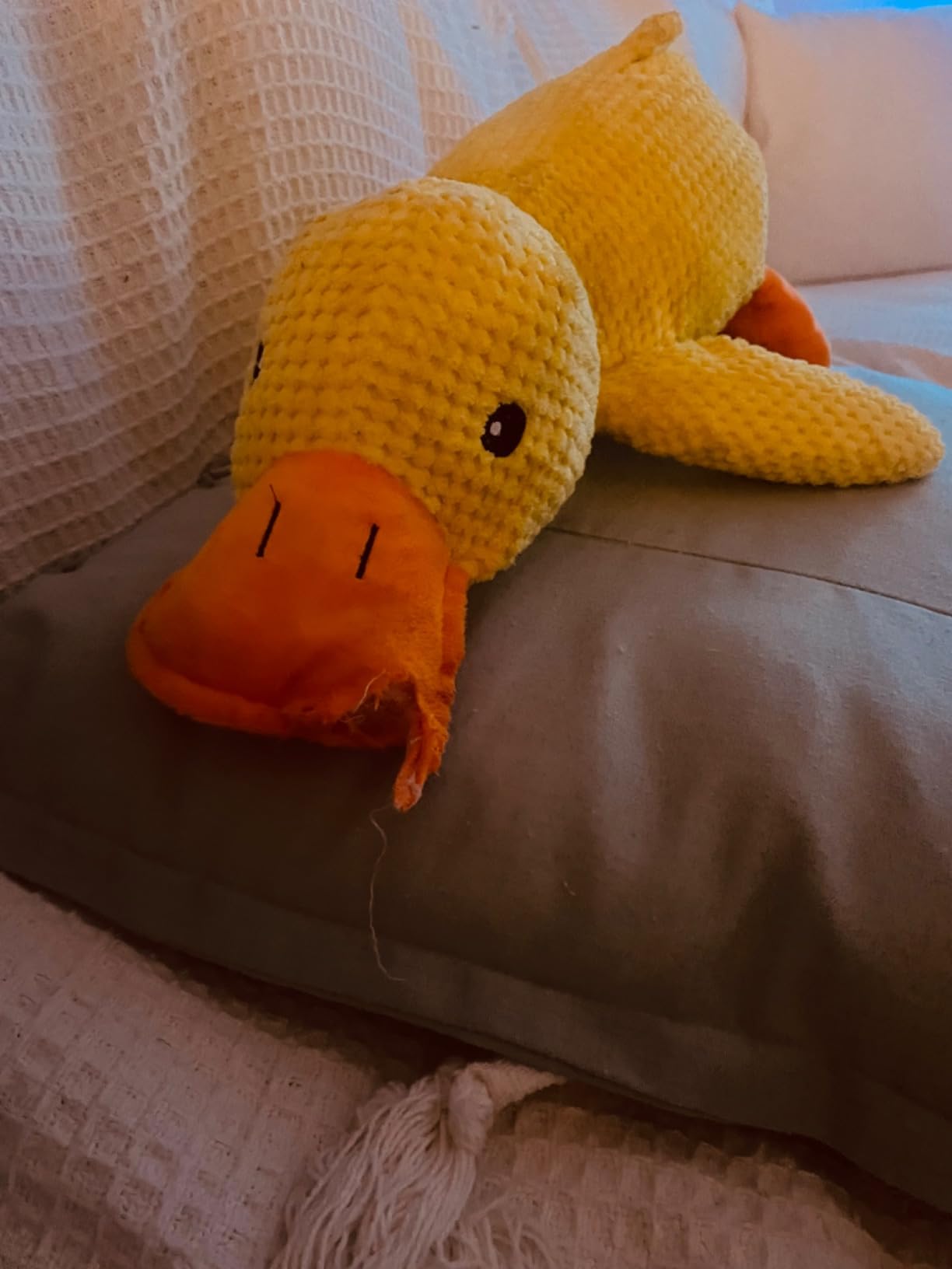 The Mellow Dog Duck, The Mellow Dog Calming Duck, Zentric Quack-Quack ...