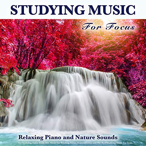 Studying Music For Focus: Relaxing Piano and Nature Sounds For Studying ...