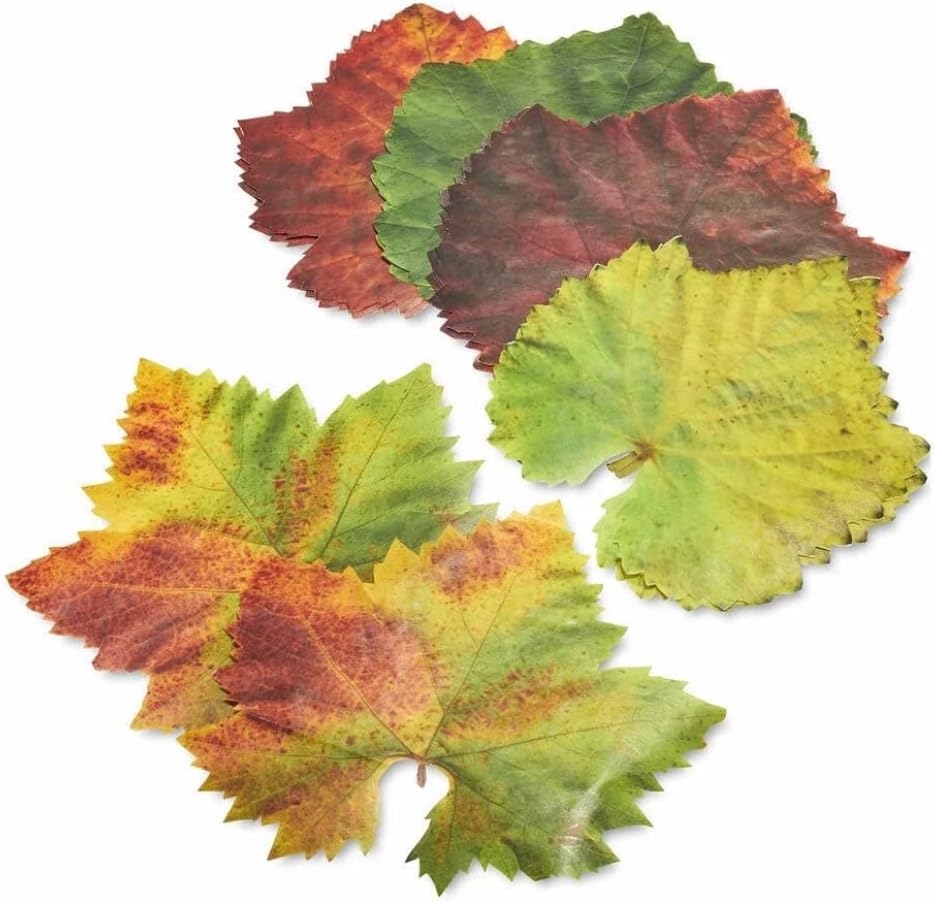 Amazon.com: Parchment Paper Leaves for Cheese & Charcuterie Boards ...