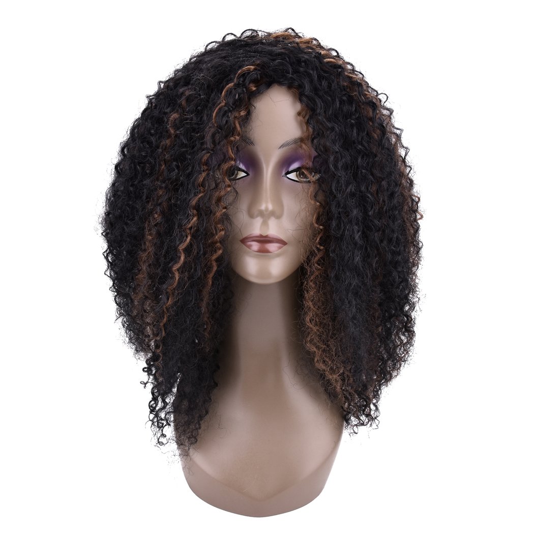 Amazon.com : Miss Rola Curly Wigs For Black Women 14inches Synthetic ...