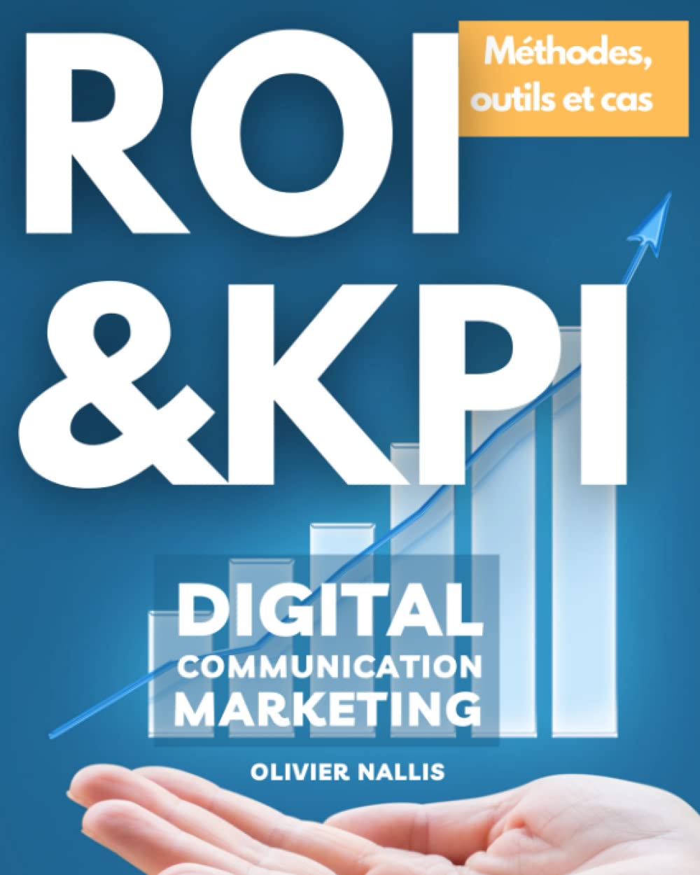 Amazon.com: ROI & KPI: Méthode de calcul et cas d'usage (French Edition ...