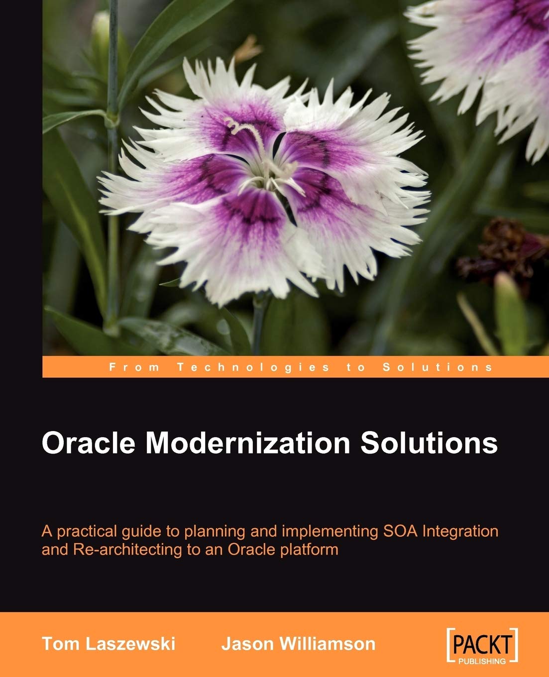 Oracle Modernization Solutions: Laszewski, Tom, Williamson, Jason ...