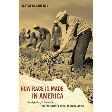 How Race Is Made in America: Immigration, Citizenship, and the ...