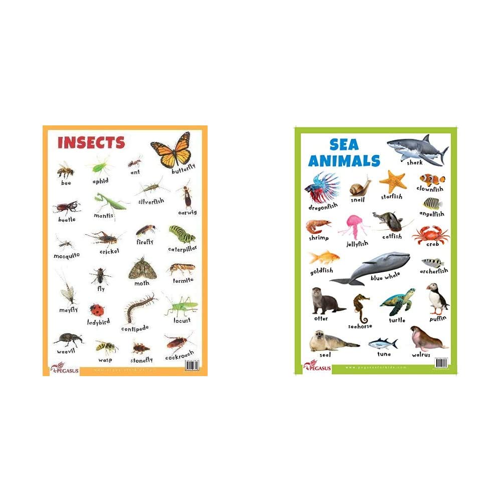 Insects Thick Laminated Primary Chart Sea Animals Thick Laminated ...