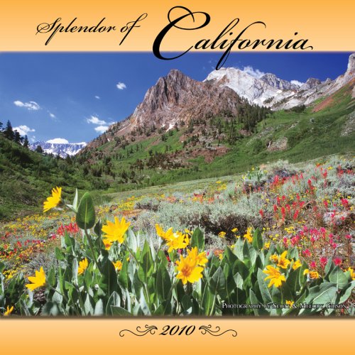 Splendor of California 2010 Wall Calendar: Falling Leaf Publishing ...