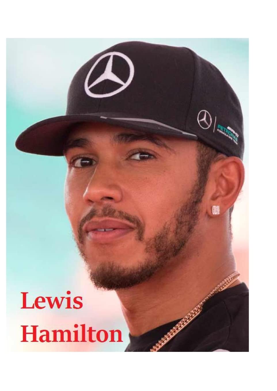 Lewis Hamilton: Seven Time F1 Champion of the World: Hamilton, A ...