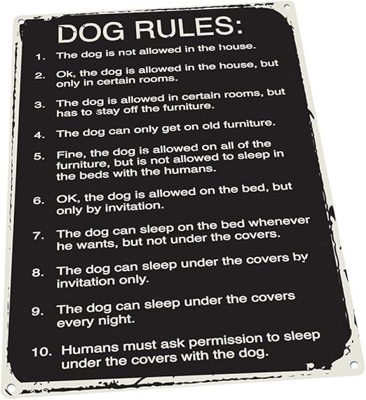 Amazon.com: Dog Rules Metal Sign, Humorous Casual Den, Bar, Gameroom ...