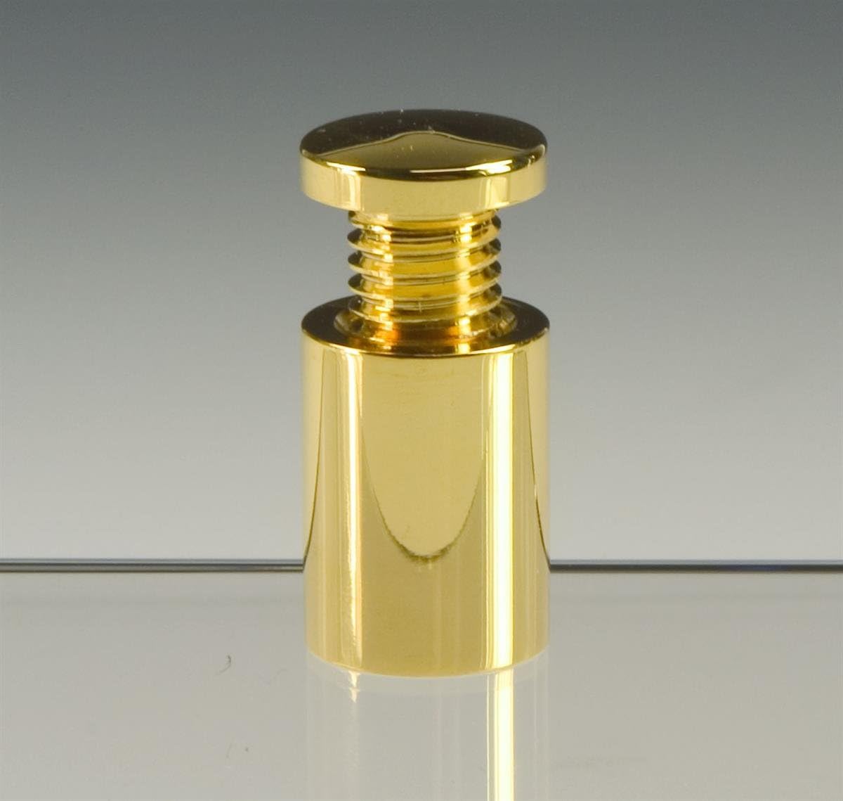 Amazon.com : Set of 8-3/4" x 1" Polished Gold Finish Cast Brass ...