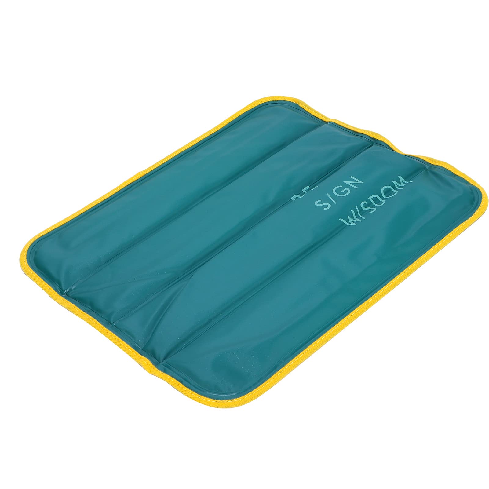 Shanrya Ankle Ice Pack Ice Pad Pvc Liquid Ice Pillow | Desertcart INDIA