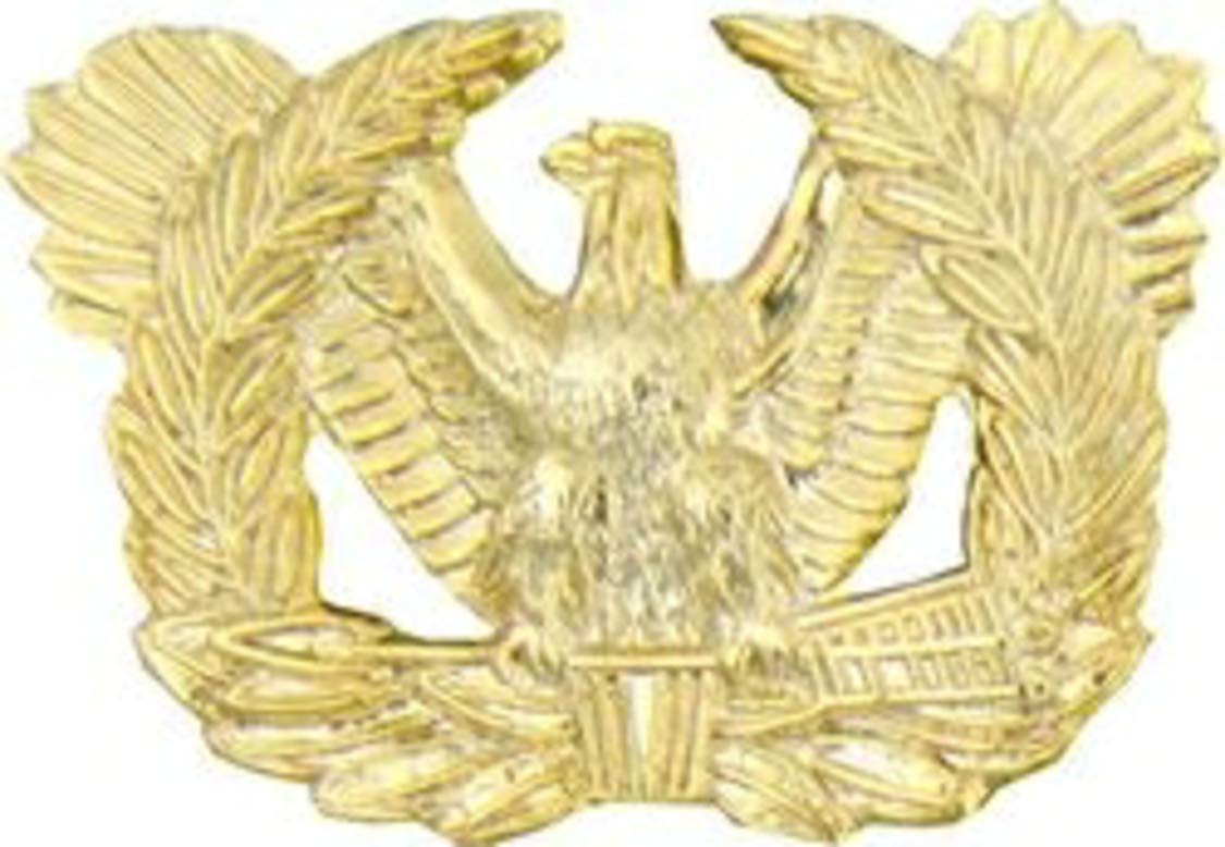 Amazon.com: US Army Warrant Officer Lapel Pin or Hat Pin : Clothing ...