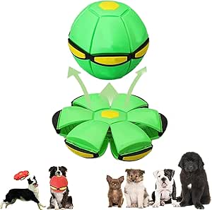 Amazon.com: Petootsy Doggy Delight Disc, Doggy Disc Ball, Doggie Disc ...