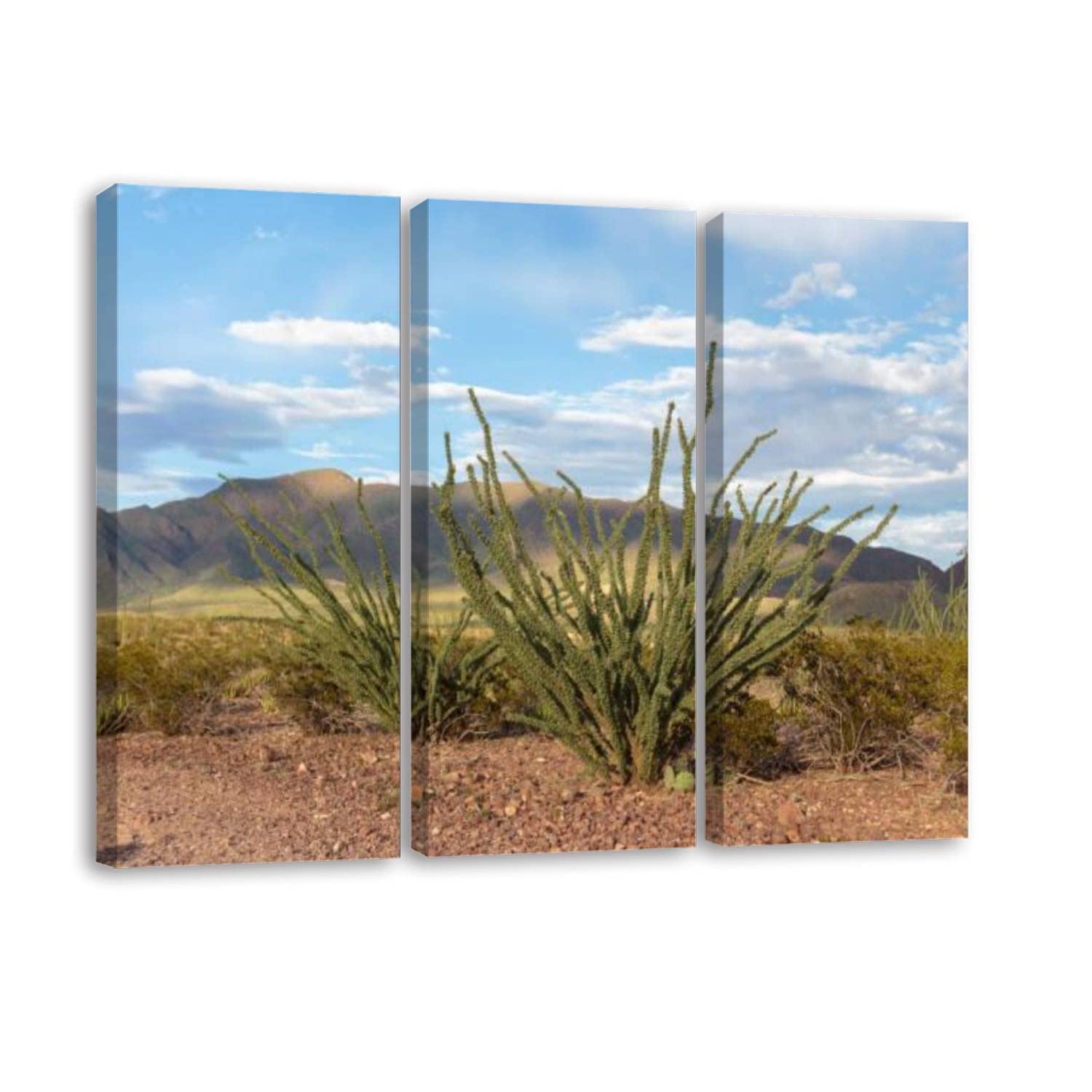 Folk Art Ocotillo