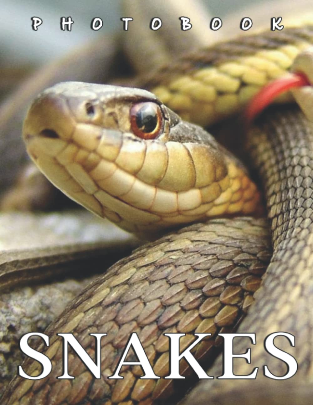 The Picture Book Of Snakes: A Great Gift With Compelling And Impressive ...