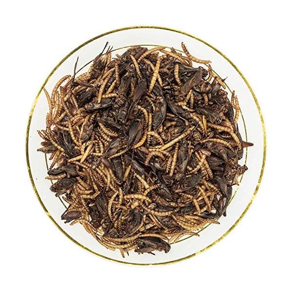 Amzey Appetizing Mealworms with Natural Dried Crickets (8oz) All ...