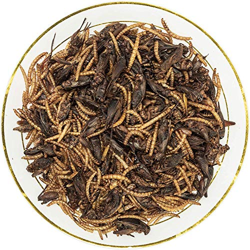 Amzey Appetizing Mealworms with Natural Dried Crickets (8oz) All ...