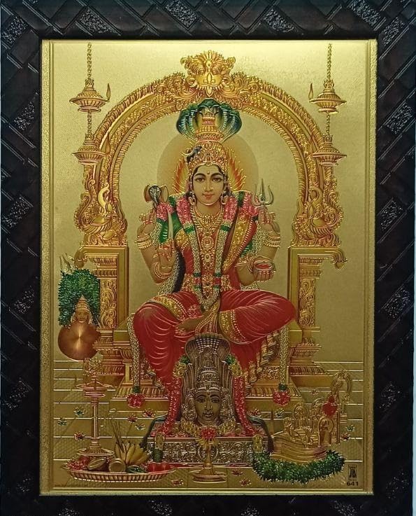 Arulmigu Devi KaruMariyamman Goddess Karumariamman Karu Mariamman ...