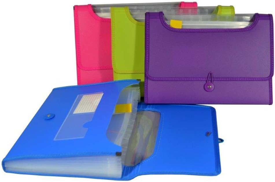Amazon.com : Filexec Window Expanding File, 13 Pocket, Letter size ...