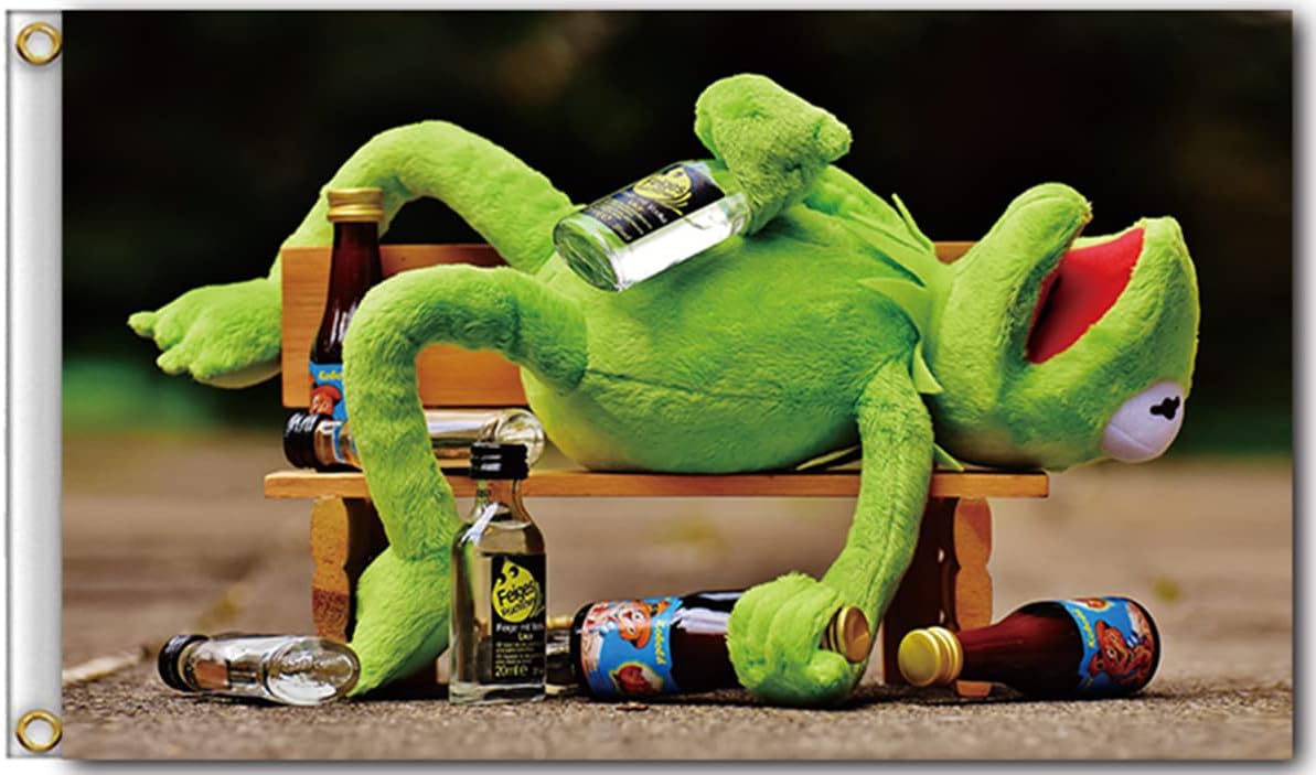 Amazon.com : DEIMUGL Frog Funny Flag 3x5 Feet Man Cave Wall Flag Meme ...