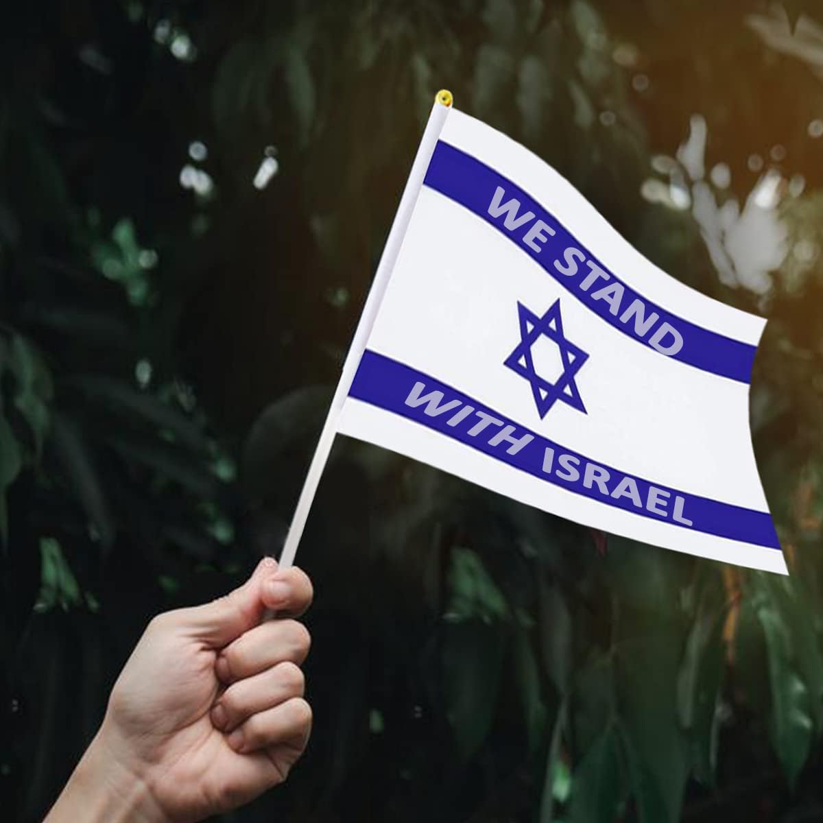 Snapklik.com : Israel Flag 3x5 Foot - Israeli National Flags Vivid ...