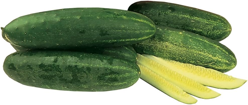 Amazon.com : Burpee Hybrid II Slicing Cucumber Seeds 30 seeds : Patio ...